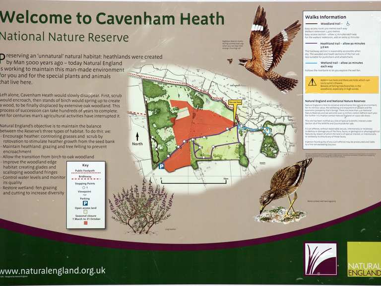 Cavenham Heath National Nature Reserve Routes for Walking and Hiking ...