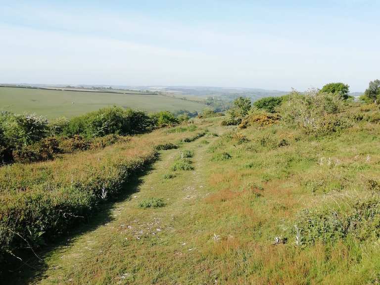 Stage 1: Lyme Regis to Up Cerne — Greater Ridgeway Trail | mountain ...