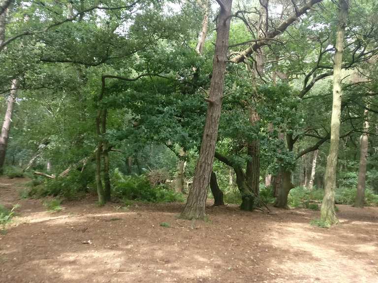 Bulkeley Hill Routes for Walking and Hiking | Komoot