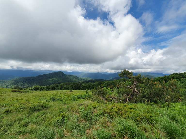 Wołosate Loop - Tarnica - Halicz - Rozsypaniec (via the blue trail and ...