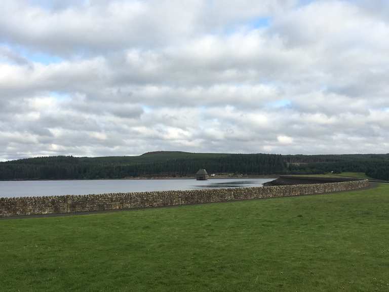 Kielder Water Lakeside Way — Kielder Forest | mountain bike ride | Komoot