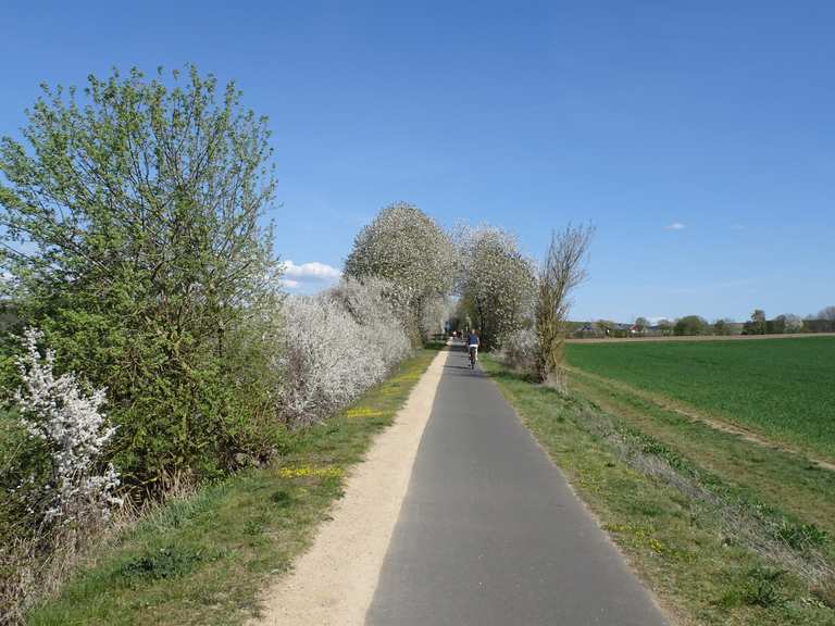Schöner Abschnitt auf der Bahntrasse - Cycle Routes and Map | Komoot
