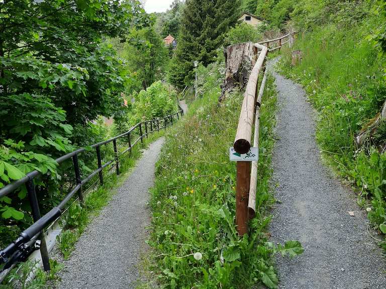 Schmaler Weg Mountain Bike Trails & Tracks | Komoot