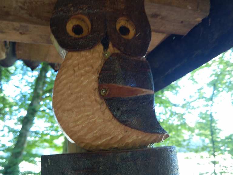 Elfen- und Wichtelweg, Wolfwil: Wanderungen und Rundwege | komoot