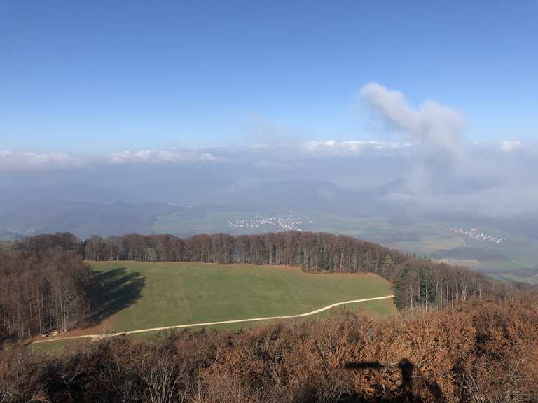 Aussichtsturm Wisenberg: Wanderungen und Rundwege | komoot