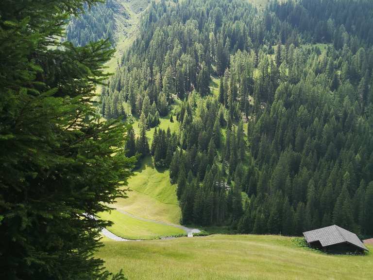 Wanderweg Sertig Dörfli – Clavadel - wandelroutes en hikes | Komoot