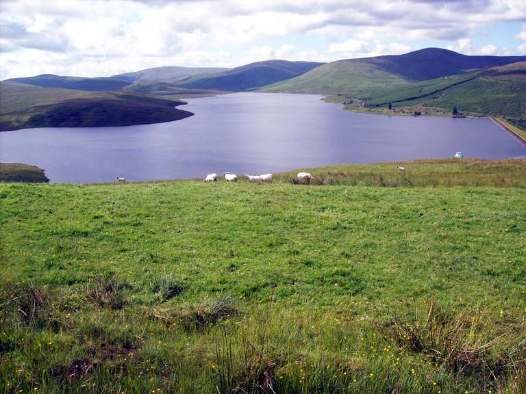 Beld Knowe & Daer Reservoir loop from Moffatt | Mountainbike-Tour | Komoot