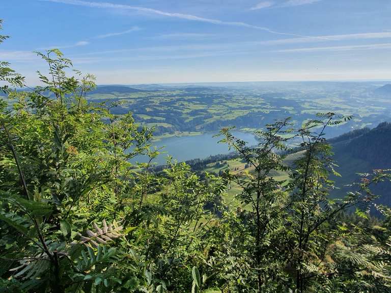 Gschwender Horn: Wanderungen und Rundwege | komoot