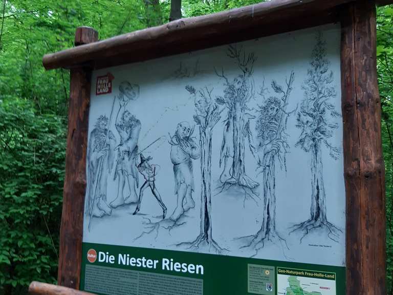 Niester Riesen ; Uralte Bäume - Routes for Walking and Hiking | Komoot