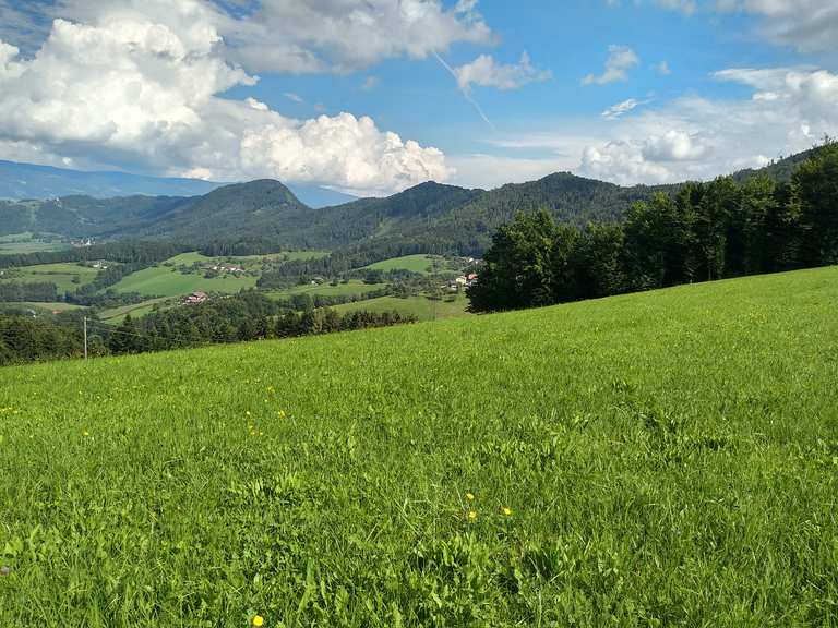 Passeio panorâmico de ida e volta pelo Granitztal saindo de St. | percurso de Mountain Bike | komoot