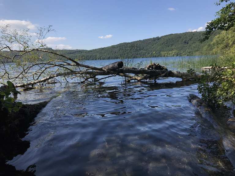 Laacher See Routes for Walking and Hiking | Komoot