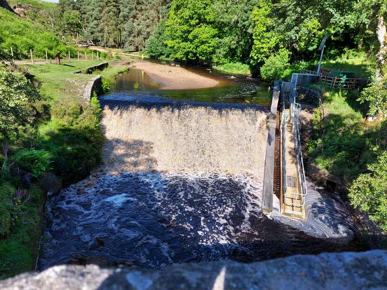 Langsett Reservoir loop — Peak District National Park | hike | Komoot