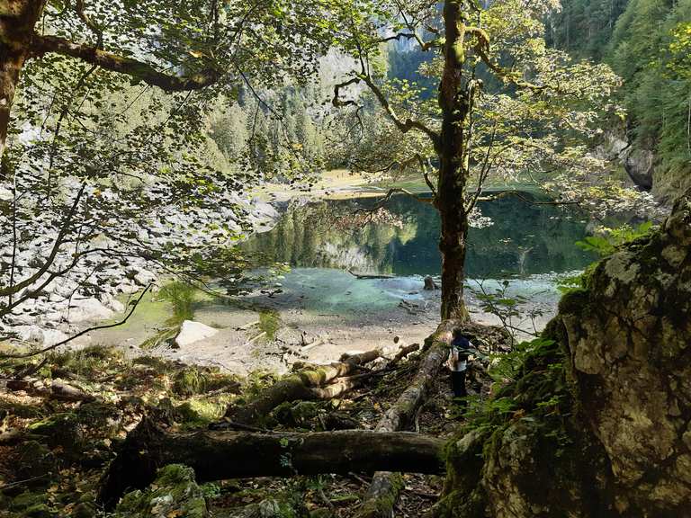 Kammersee und Traun-Ursprung: Wanderungen und Rundwege | komoot