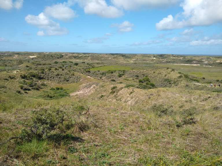 Hazenberg - Bloemendaal, North Holland | Hiking Tips & Photos | Komoot