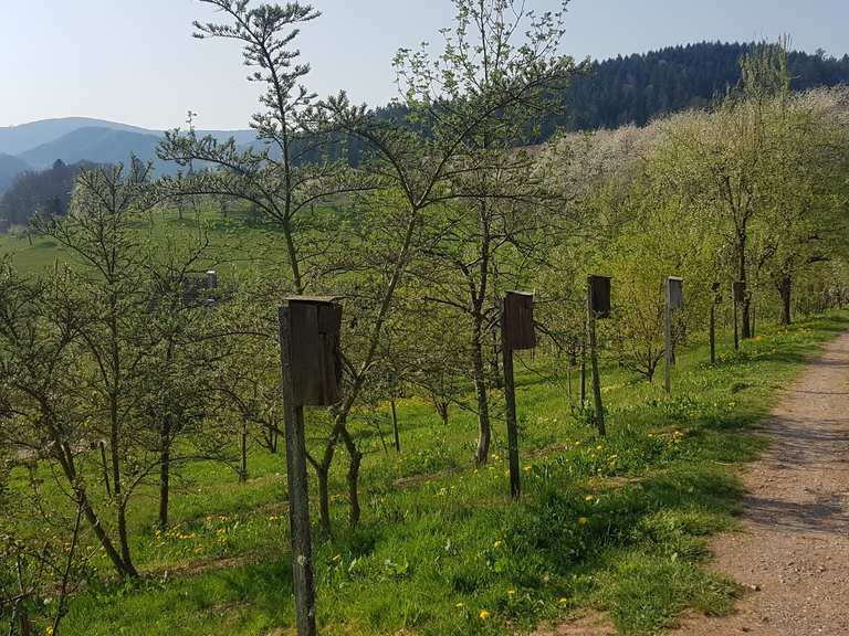 Brennerpfad: Wanderungen und Rundwege | komoot
