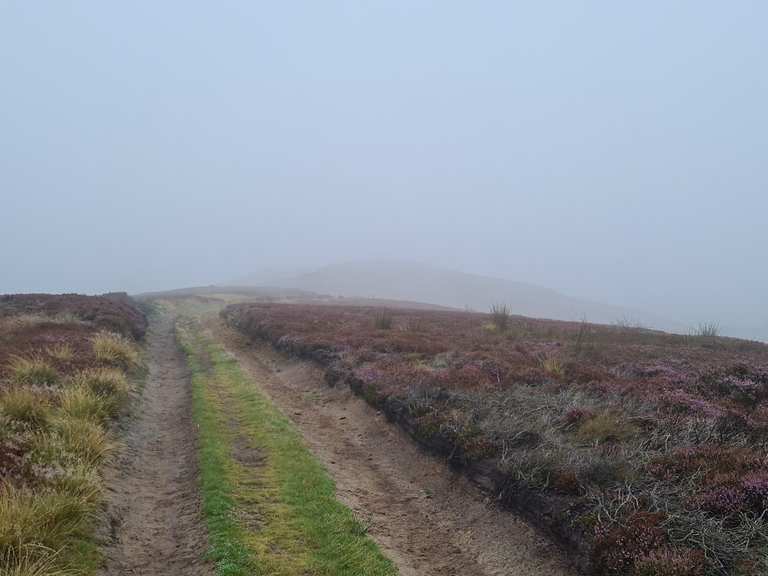 Cold Moor Routes for Walking and Hiking | Komoot