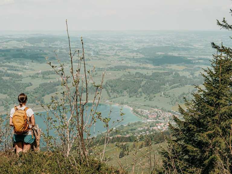 Gschwender Horn: Wanderungen und Rundwege | komoot