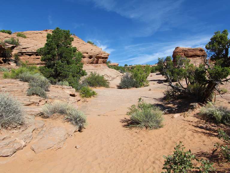 Delicate Arch von Wolfe Ranch — Arches National Park | Wanderung | Komoot