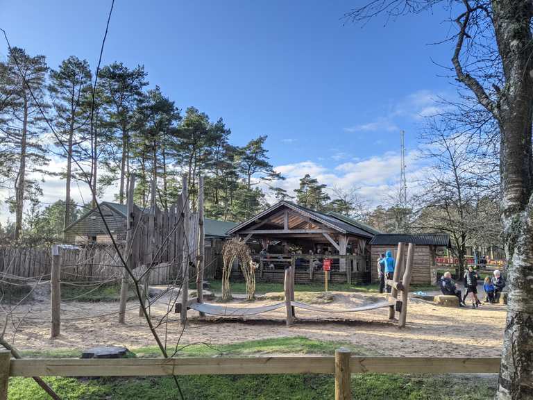 The Ridge Café, Haldon Forest Park: Mountainbike-Touren und -Trails ...