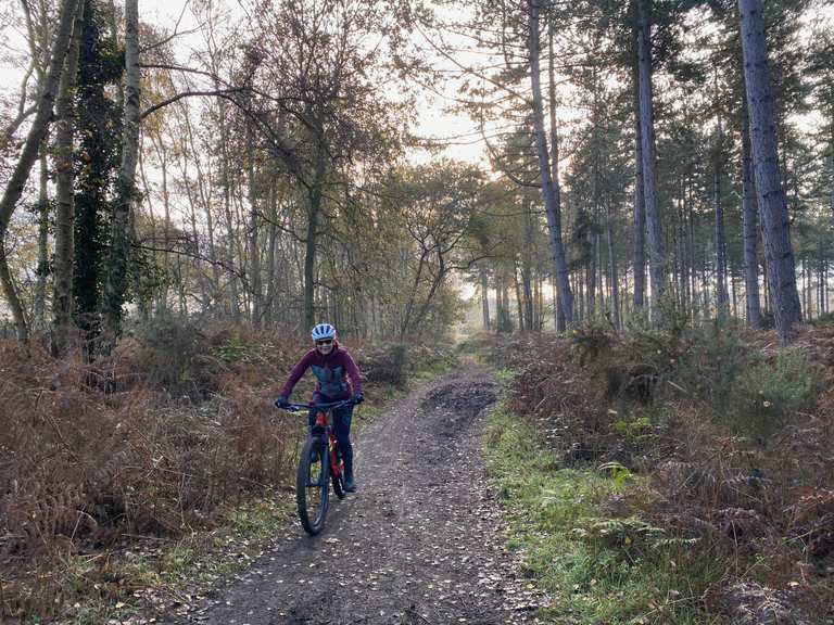 Rowney Warren wood loop from Shefford – Chicksands Bike Park | sortie à ...