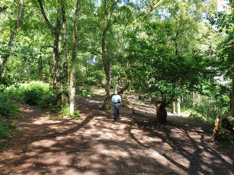 Bulkeley Hill Routes for Walking and Hiking | Komoot