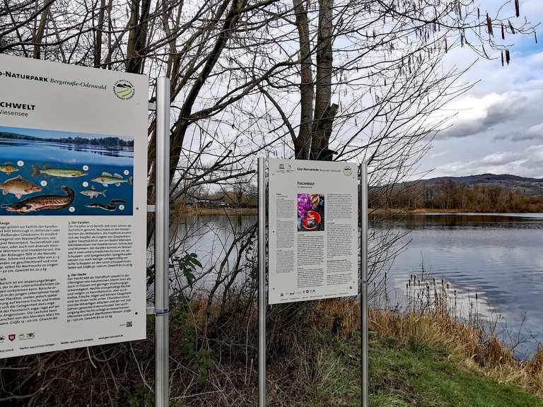 Wiesensee Routes for Walking and Hiking | Komoot