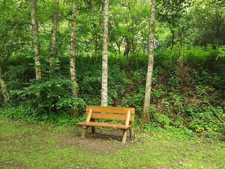 Picnic Area by the Our River – Hikes & How to Get There | Komoot