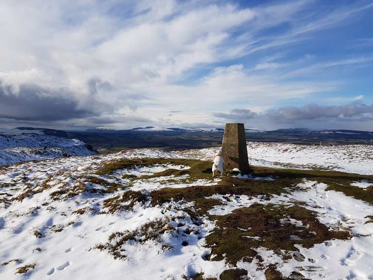 Benarty Hill Routes for Walking and Hiking | Komoot