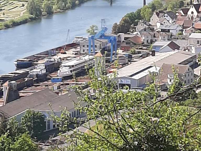 Tor zu den Weinterassen Erlenbach am Main: Mountainbike-Touren und ...