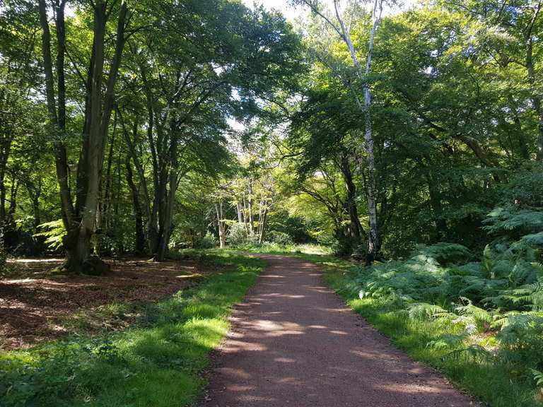 Green Ride, Epping Forest Mountain Bike Trails & Tracks | Komoot