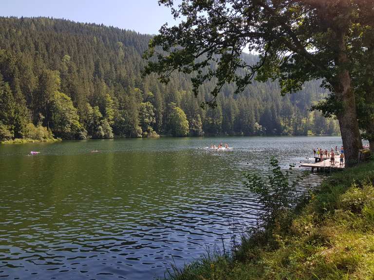 Goggausee: Rennradfahren und Rennradtouren | komoot