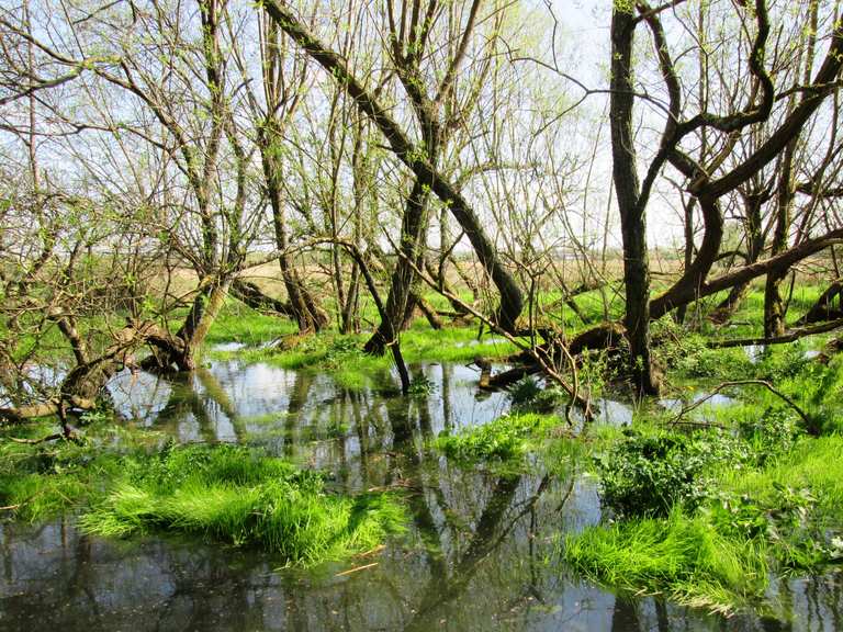 Lower Test Nature Reserve Routes for Walking and Hiking | Komoot