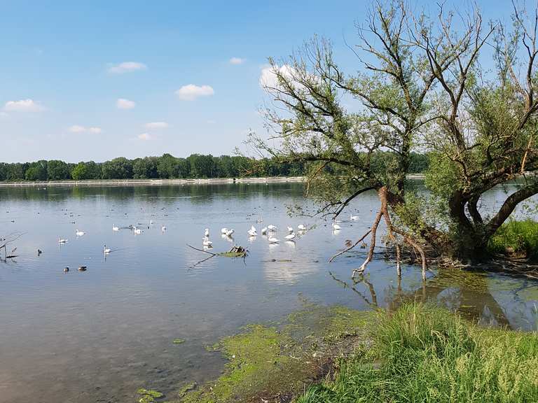 Vogelfreistätte Echinger Stausee - Cycle Routes and Map | Komoot