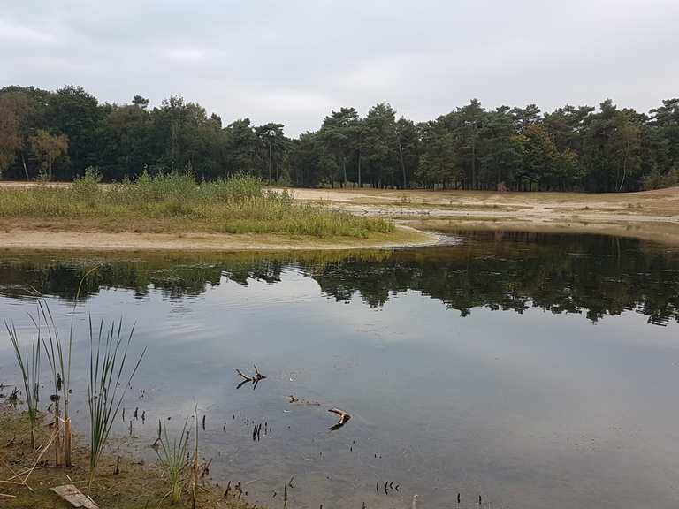 Surae bij Dorst fietsroutes en kaart | Komoot
