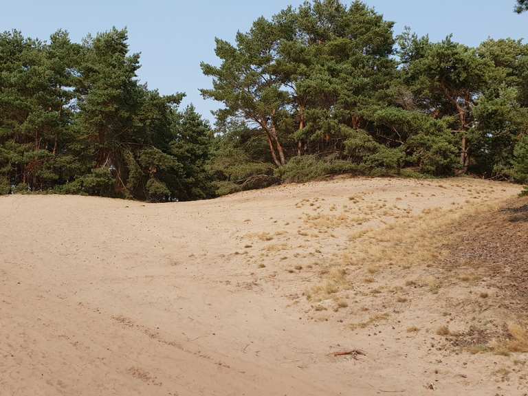 Lommelse Sahara wandelroutes en hikes | Komoot