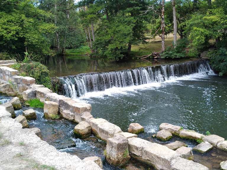 Mertert Wasserfälle: Wanderungen und Rundwege | komoot