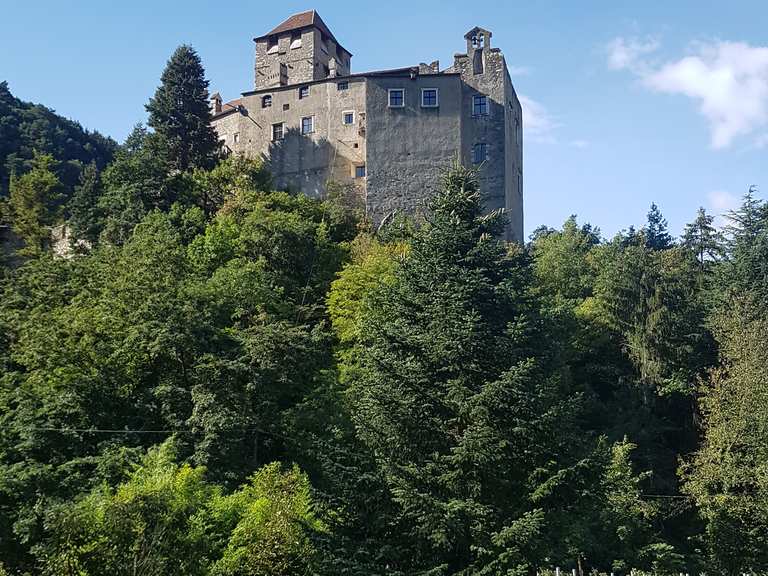 Schloss Dornsberg (Tarantsberg): Wanderungen und Rundwege | komoot