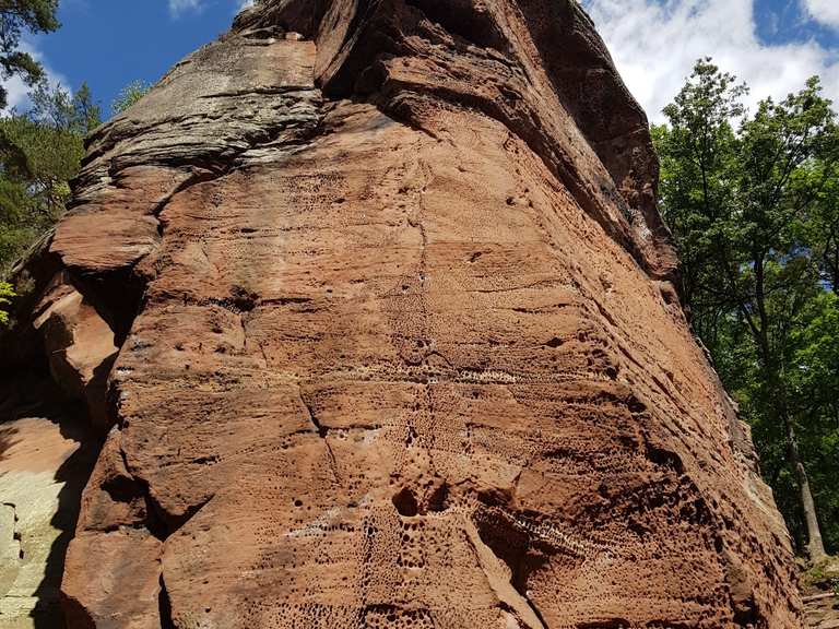 Jungpfalzhütte – Dingentalturm Runde von Rinnthal | Wanderung | Komoot