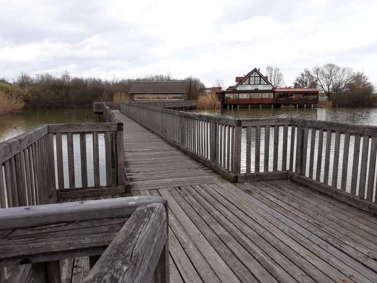 Naturteich Großhart: Wanderungen und Rundwege | komoot