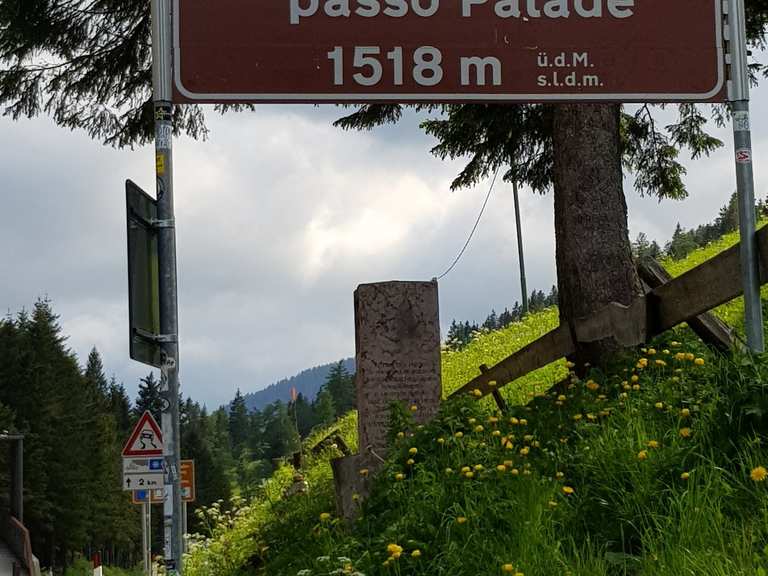 Gampenpass - Passo Palade: Mountainbike-Touren und -Trails | komoot
