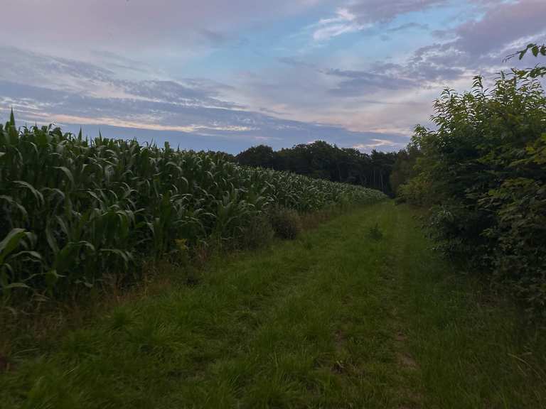 Grassy path through fields: MTB-routes en trails | Komoot