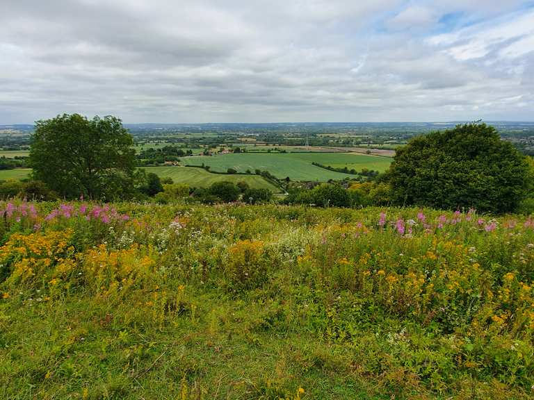 Stage 19: Princes Risborough to Tring — Greater Ridgeway | hike | Komoot