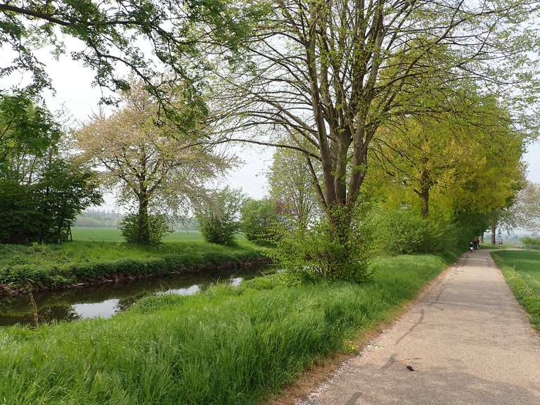 Erft-Radweg: Radtouren und Radwege | komoot