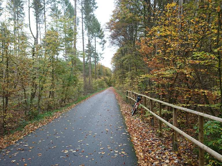 Asphaltierter Weg durch den Wald Cycle Routes and Map | Komoot
