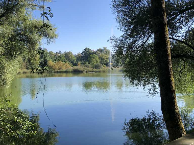 Wiler Weier + Altstadt: Mountainbike-Touren und -Trails | komoot