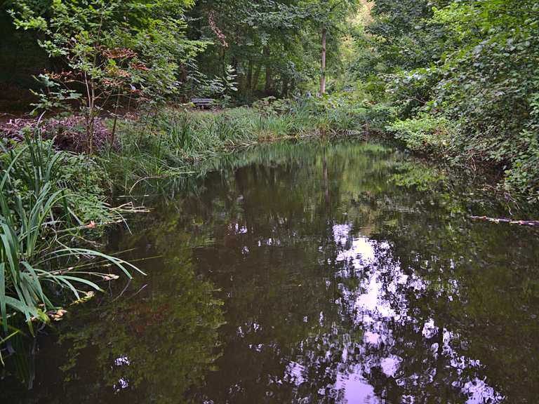 Sint Arnoldus Park wandelroutes en hikes | Komoot