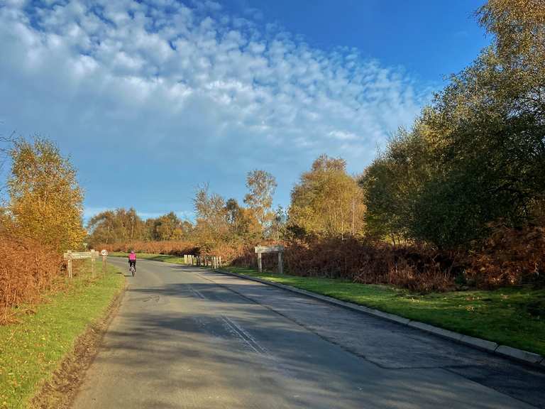 Barcombe and Chailey Common loop from Hassocks – South Downs National ...
