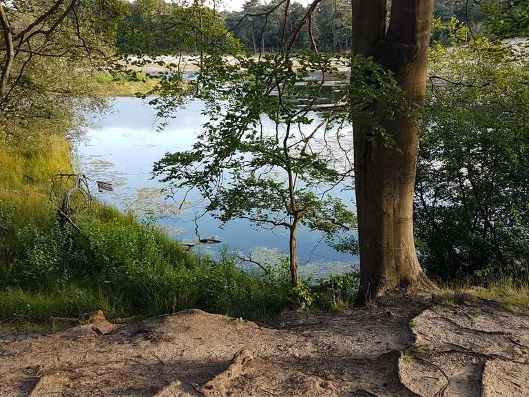 Surae bij Dorst fietsroutes en kaart | Komoot