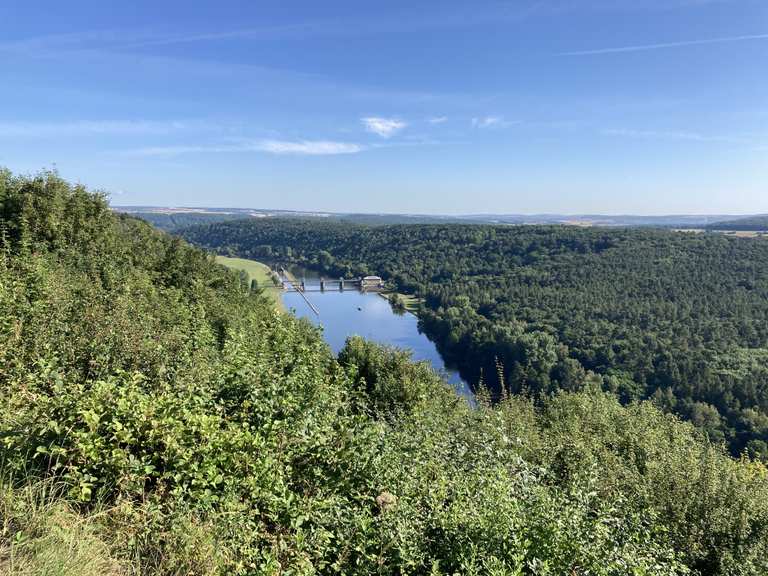 Mainschleife near Urphar Routes for Walking and Hiking | Komoot