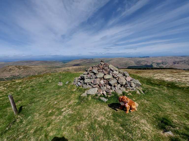 Glen Sherup, Tarmangie & Innerdownie loop from Glen Devon | Wanderung | Komoot